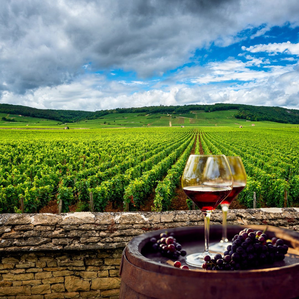 WINE SCOUT PTE LTD – WINE SCOUT pte. ltd.